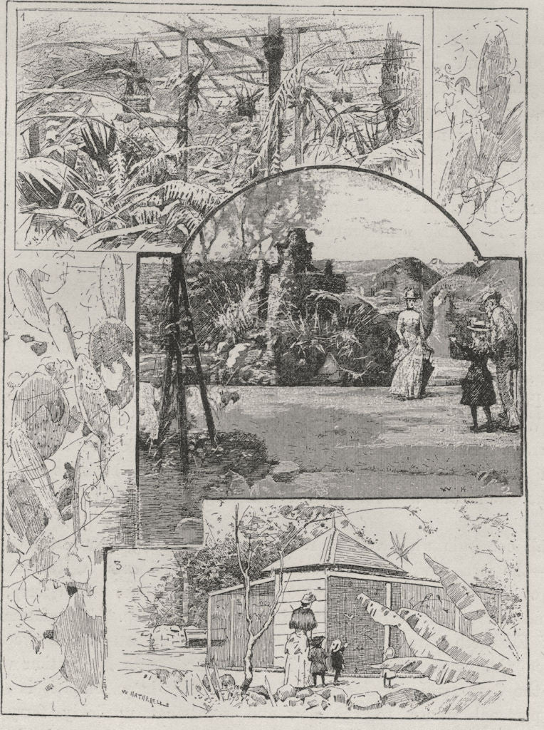 The Bush House, Acclimatisation Gardens. Fountains. Aviary. Brisbane 1890 – Antiquemapsandprints.com