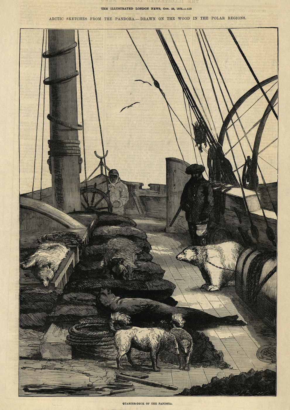 Arctic expedition: Quarter-deck of the Pandora. Polar bear 1875 old ...