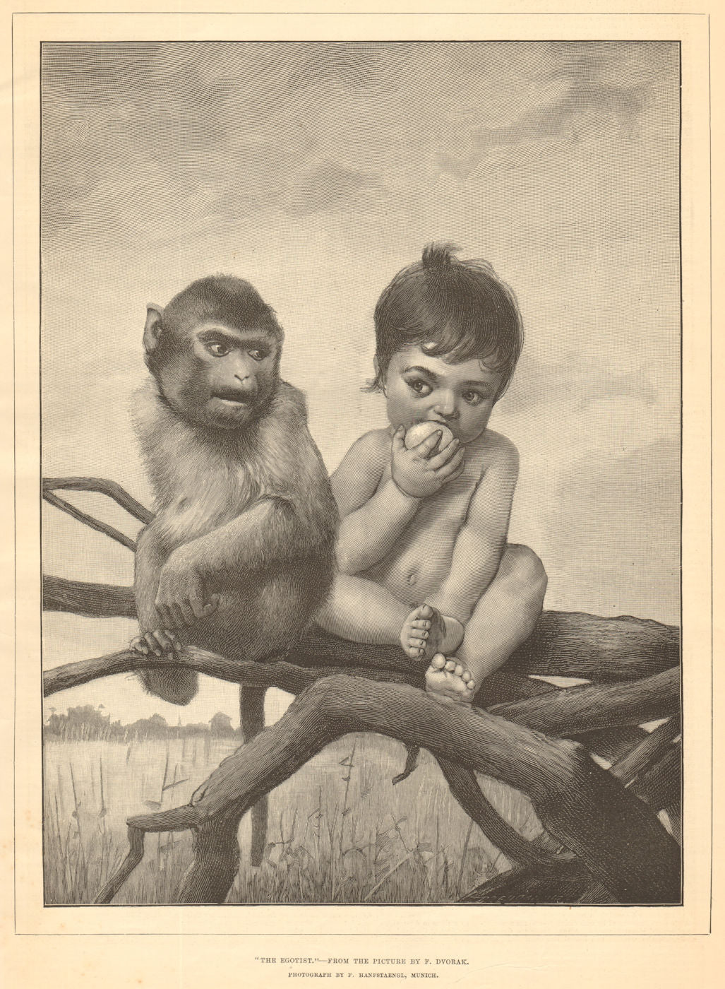 "The egotist", by F. Dvorak. Children monkey 1890 old antique print ...