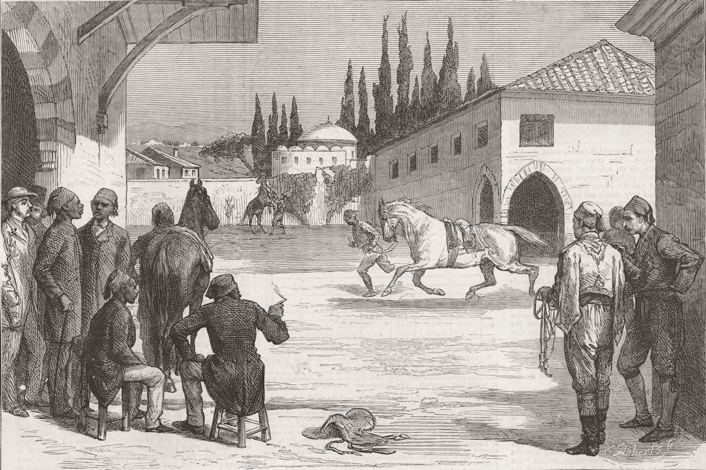 TURKEY. Istanbul. Selling Mehemet Agha's Arab Horses 1876 old antique ...