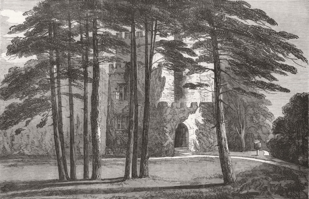 SOMT. Castle de Sancto Laudo, Newton Park, Somerset 1852 old antique ...