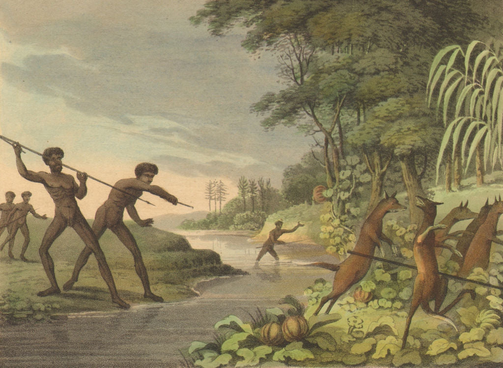 AUSTRALIA ABORIGINES. Hunting the Kangaroo with Spears. NSW (Orme) 1814 ...
