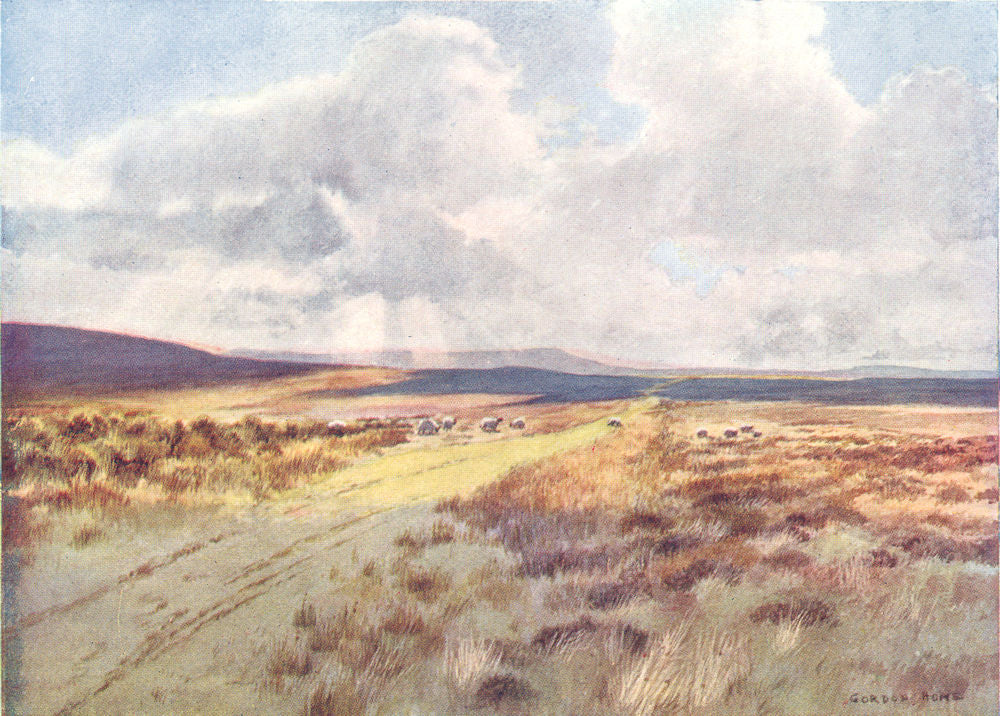 YORKS. Downholme Moor, above Swaledale 1908 old antique vintage print ...