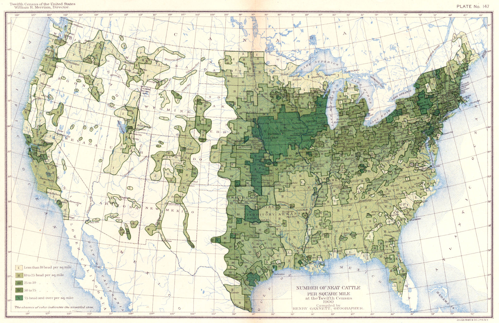 USA. Number of neat cows / sq mile at 12th census 1900 old antique map ...