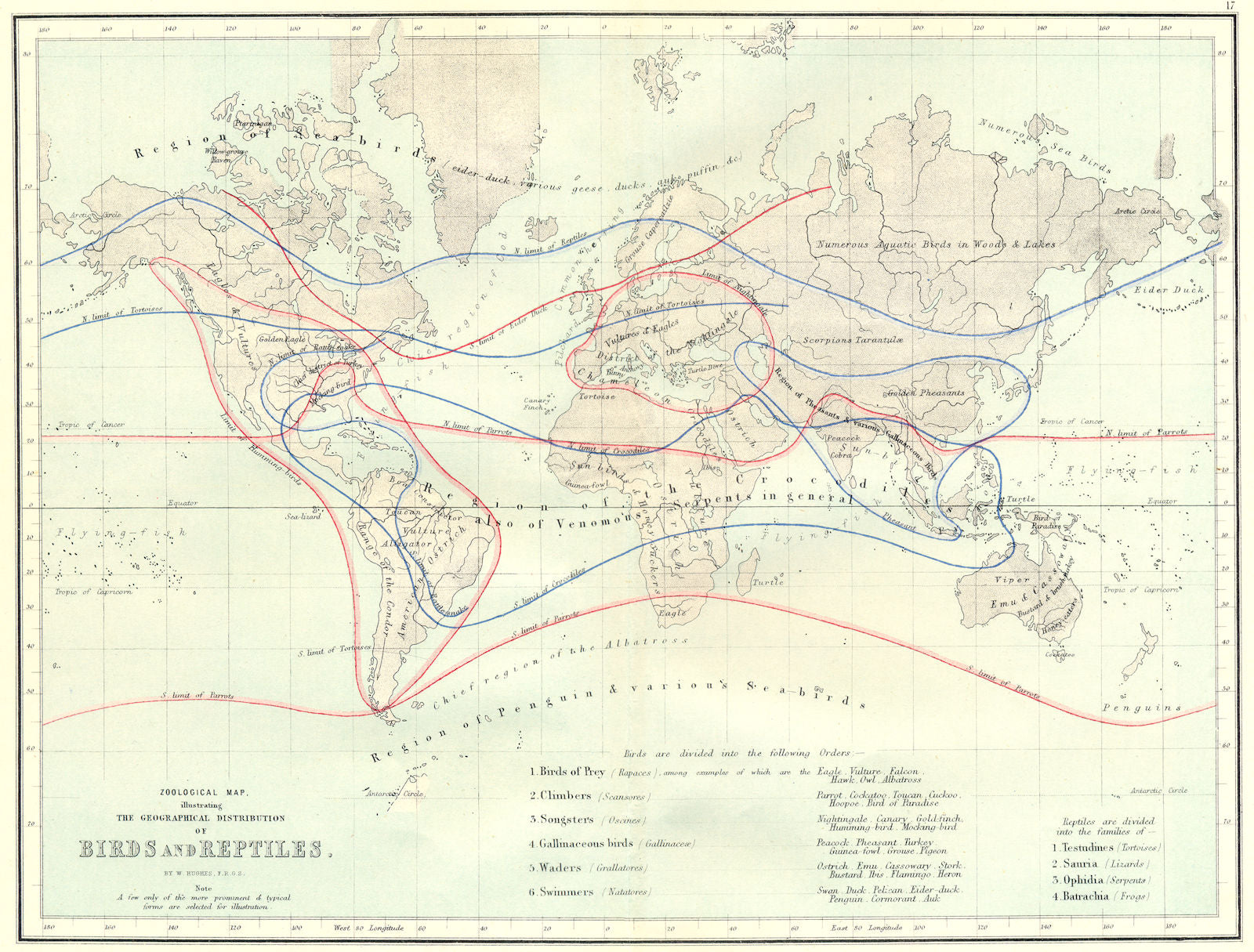 WORLD. Zoological map;Bird & Reptile distribution 1881 old antique ...