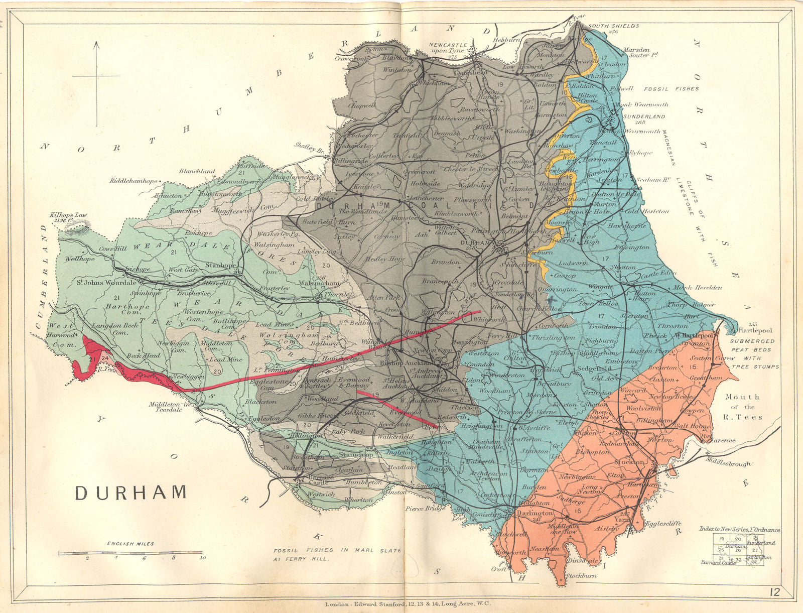 COUNTY DURHAM. Geological map. STANFORD 1880 old antique plan chart ...