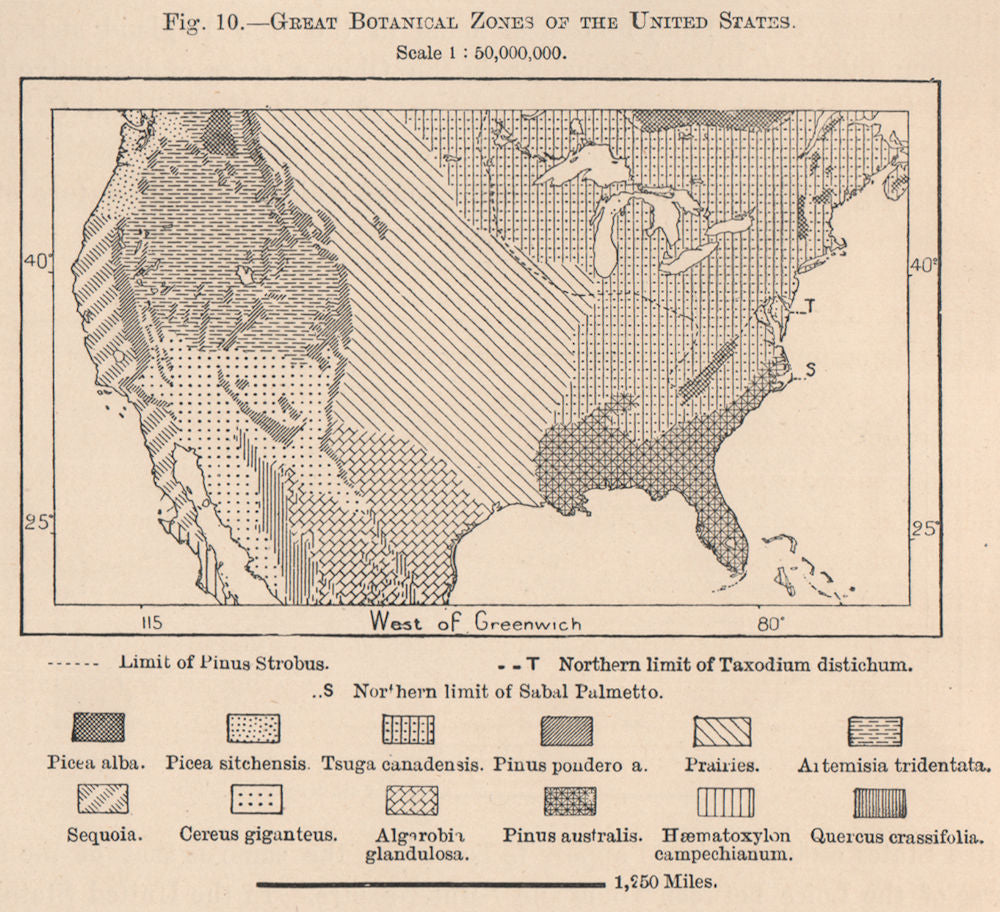 Great Botanical Zones of the United States. USA 1885 old antique map ...