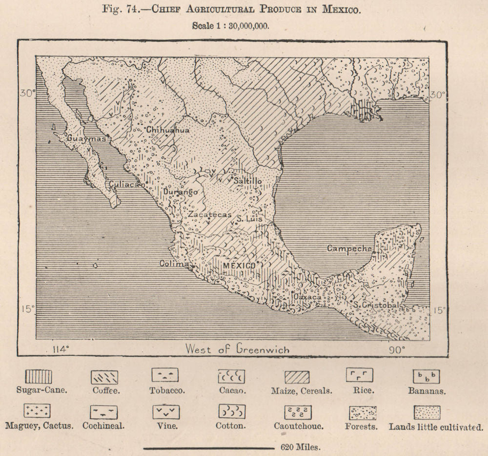 Chief Agricultural produce in Mexico 1885 old antique vintage map plan ...