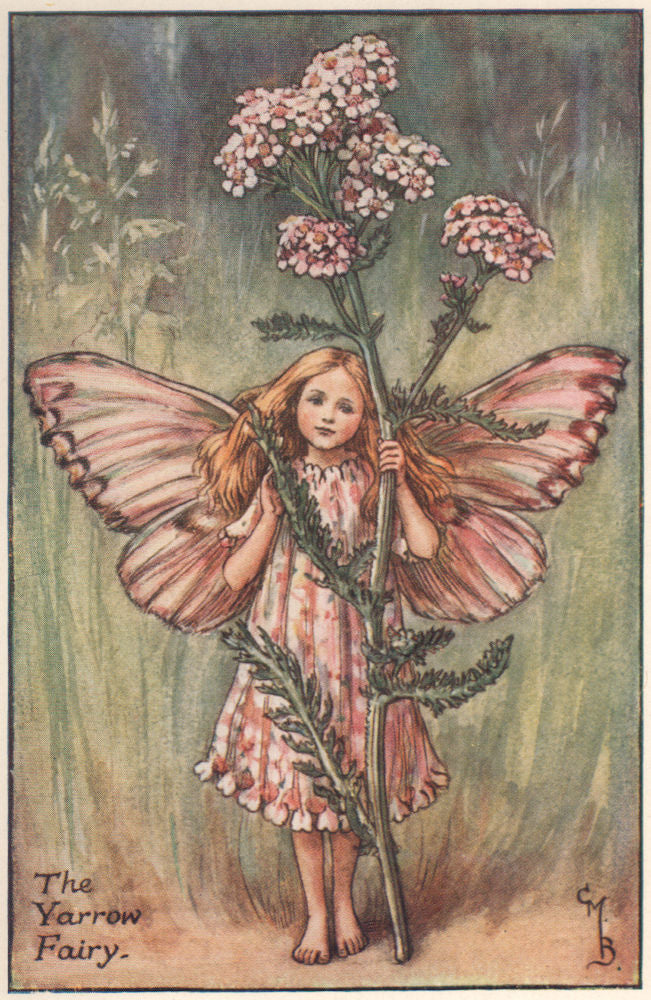 Yarrow Fairy by Cicely Mary Barker. Summer Flower Fairies c1935 old ...