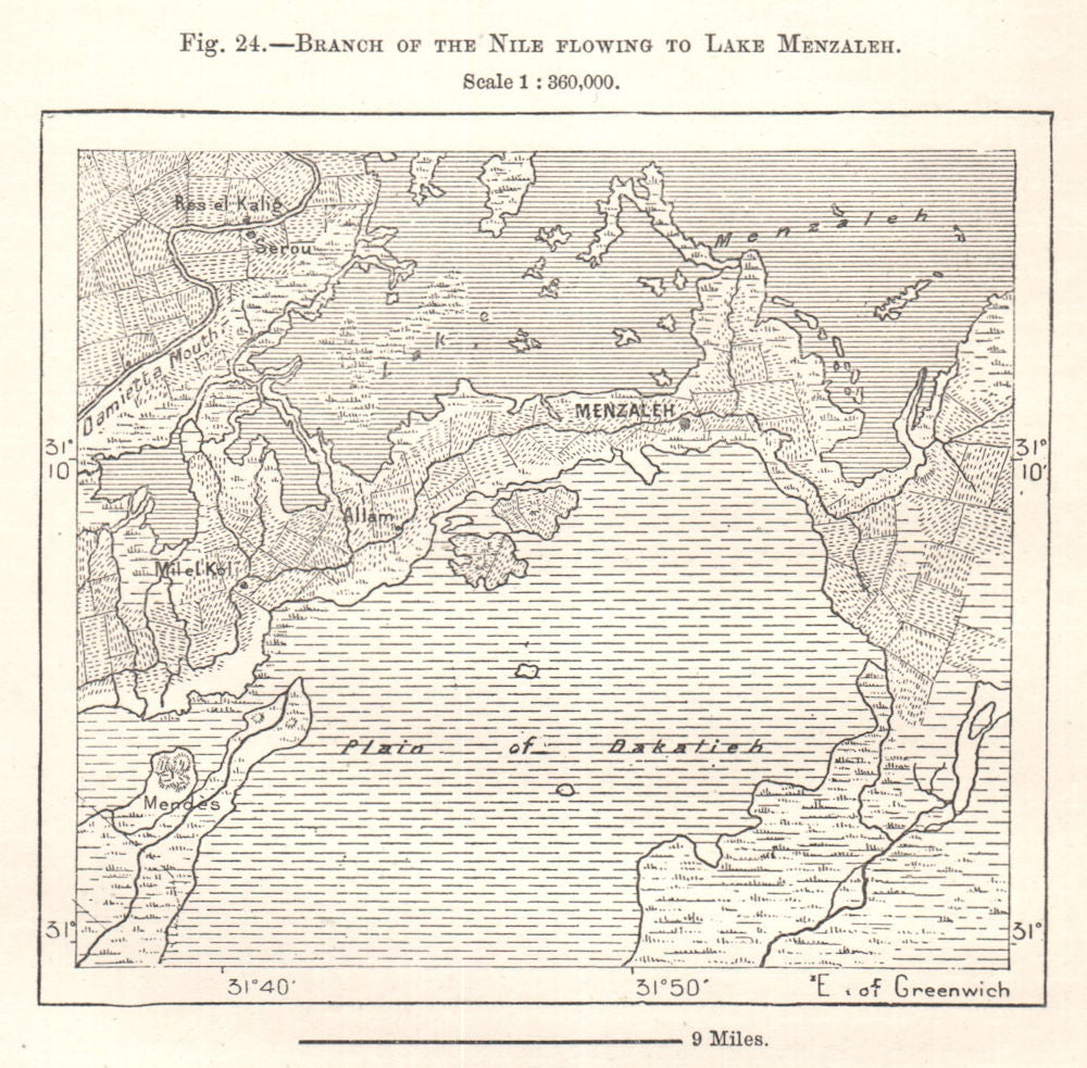 Branch of the Nile Flowing to Lake Manzala. Egypt. Sketch map 1885 old ...