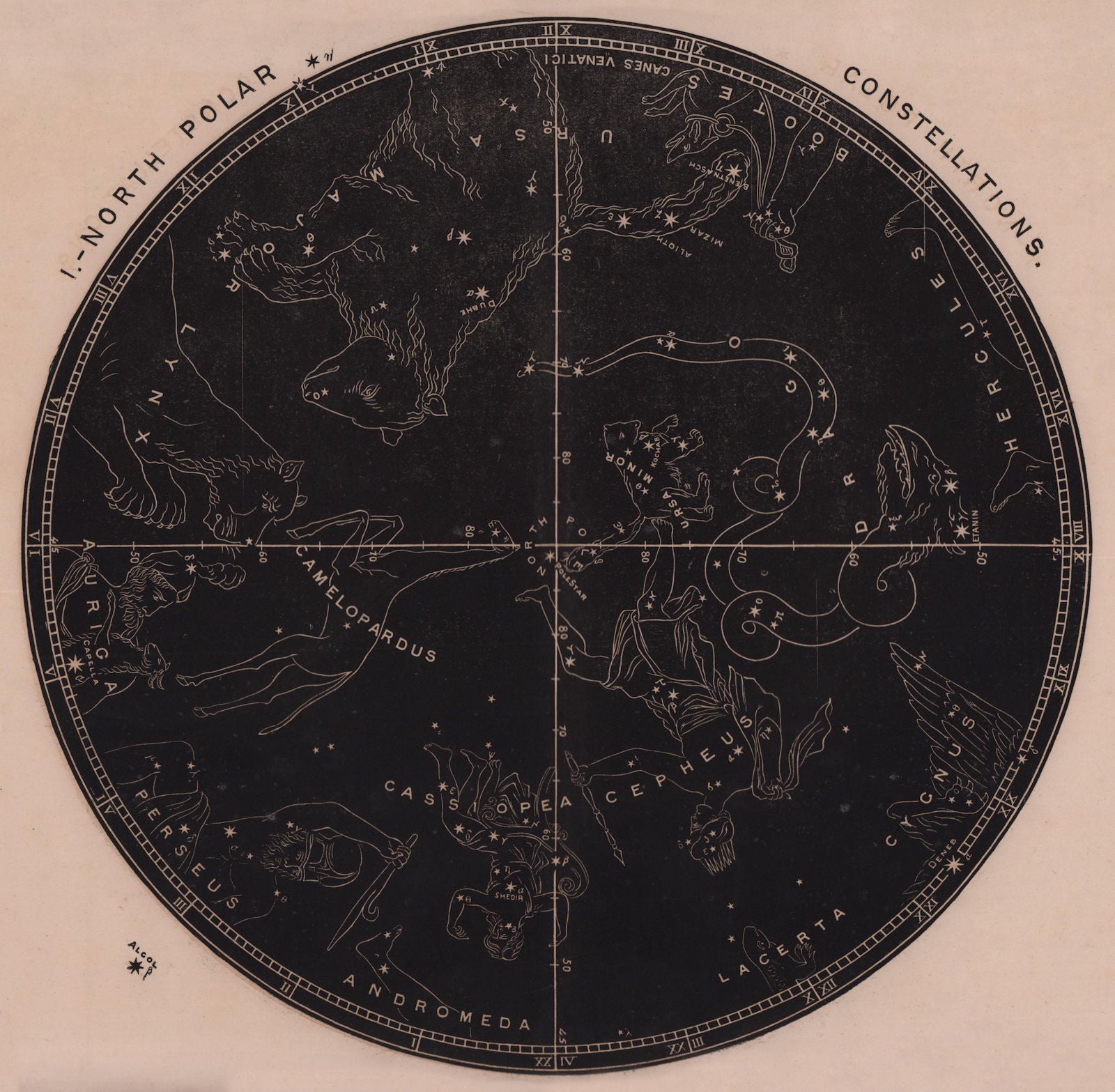 Star chart. North Polar Constellations. North Pole to 45°N. Astrology ...
