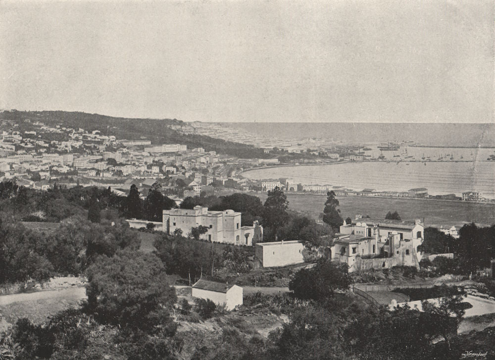 ALGIERS. Panoramic view taken from Mustafa. Algeria 1895 old antique ...